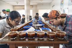 Mapping International Cooperative Development Programmes